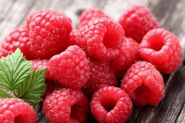 PHÚC BỒN TỬ : QUẢ MÂM XÔI - Lemon7 ADS